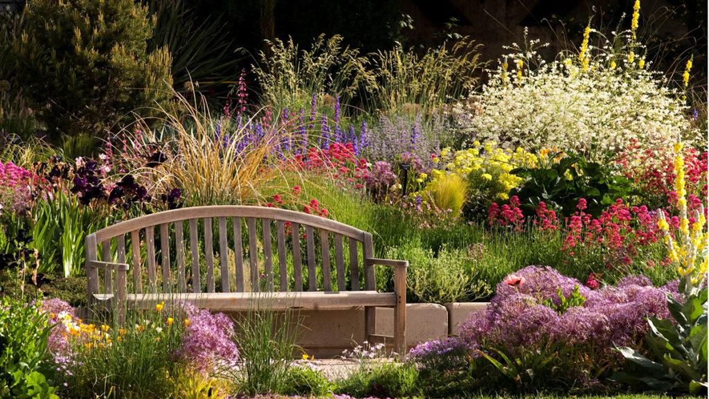 Xeriscaping for a Drought-Resilient Garden ~ Garden Down South
