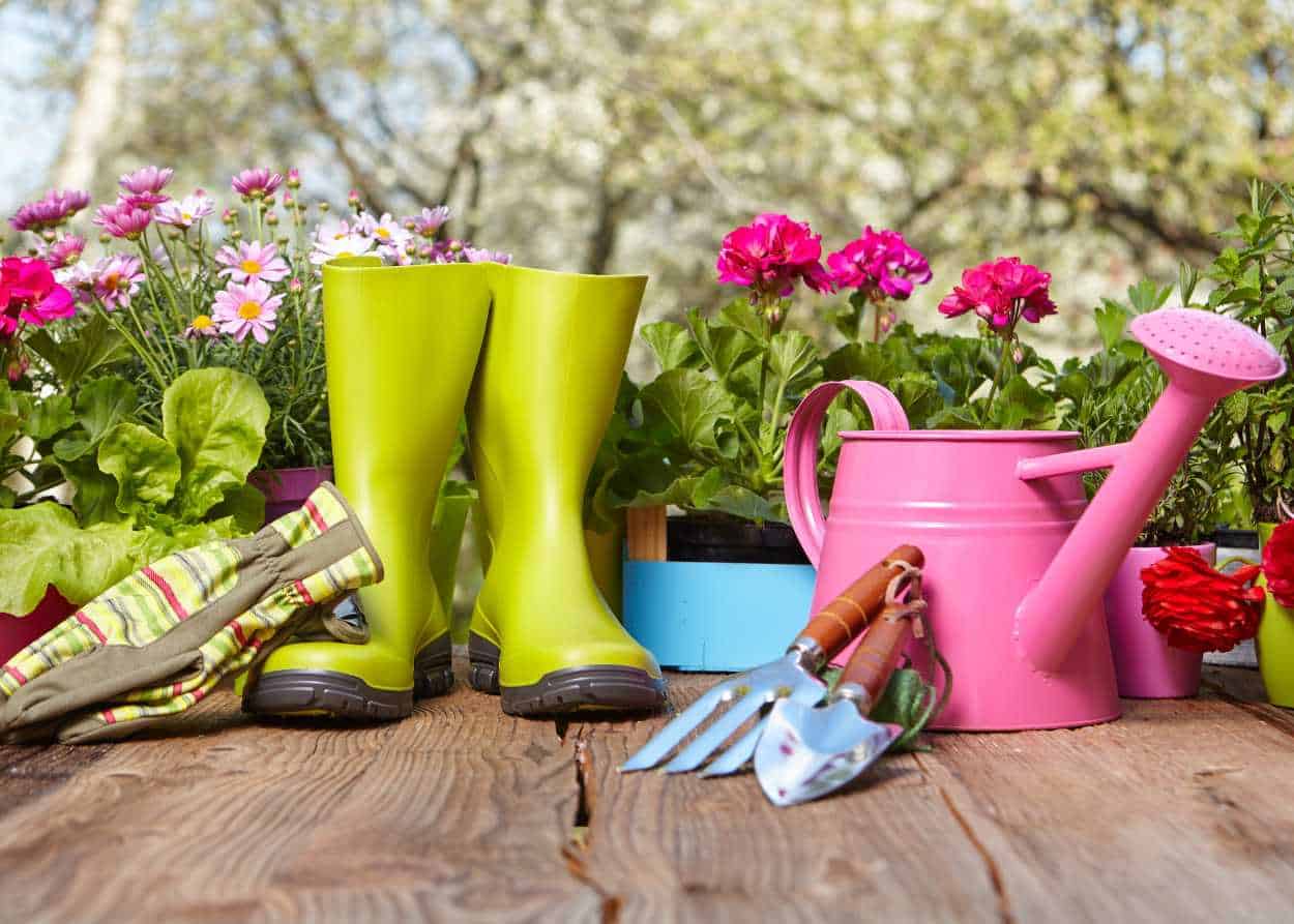 September Splendor: Essential Gardening Tasks to Transform Your Garden ...