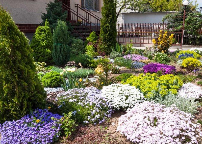 The Secret to Stunning Flower Beds: Design Principles and Color Schemes ...